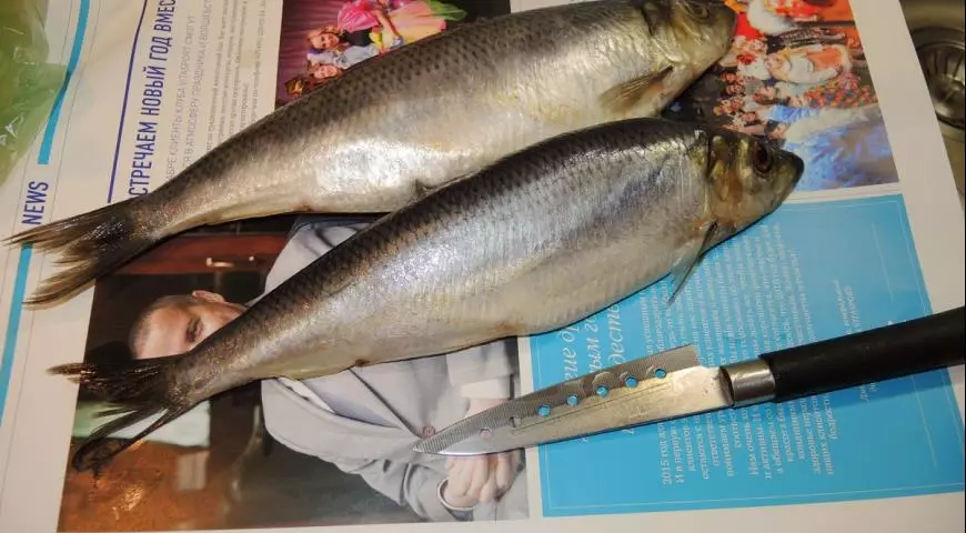 semerate herring នៅលើ fillet