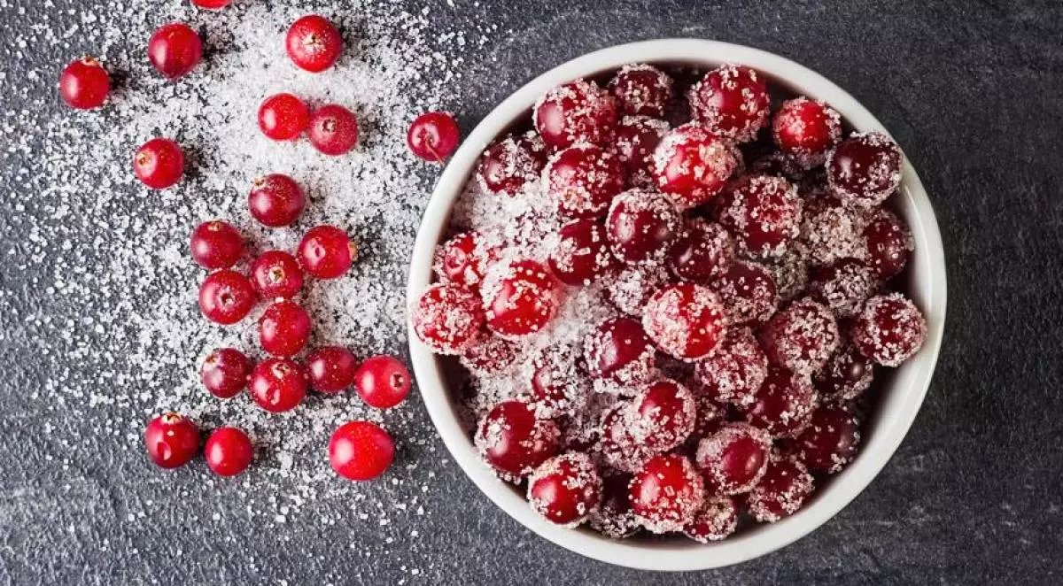 Şu anda ve kış için kütükler için bir lingonberry nasıl kullanılır? 10136_4