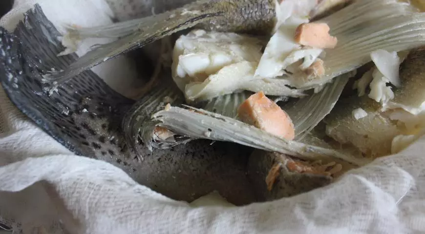 魚を楽しむ