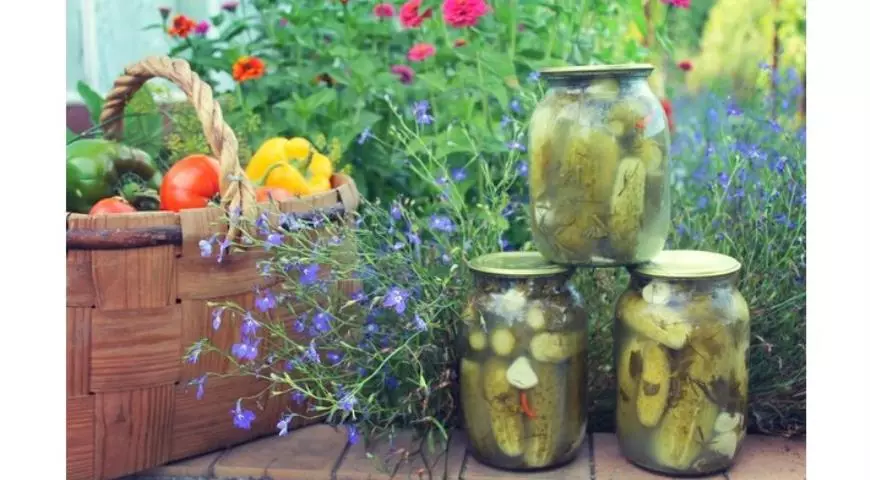 Canned salted cucumbers