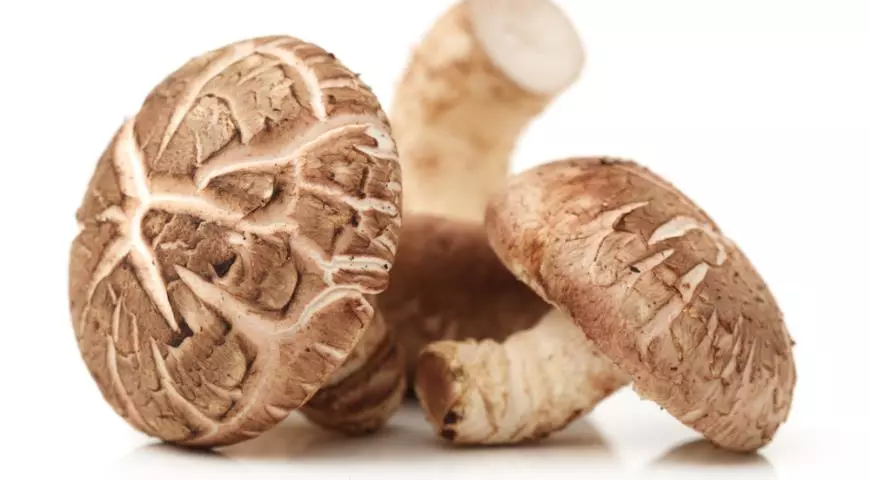 Mushrooms Shiitaka