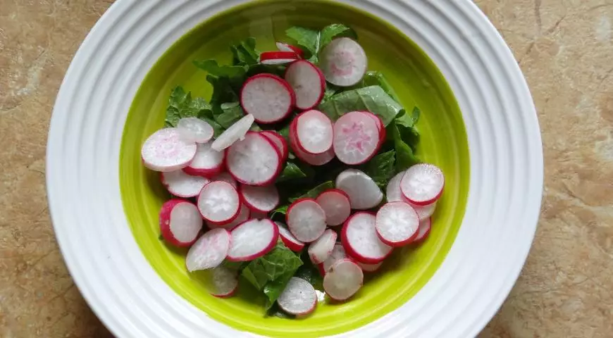 Sijine ing salad salad irisan mustar lan radish