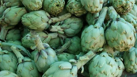 Artichok - Ibisobanuro Ibicuruzwa kuri gastronor.ru