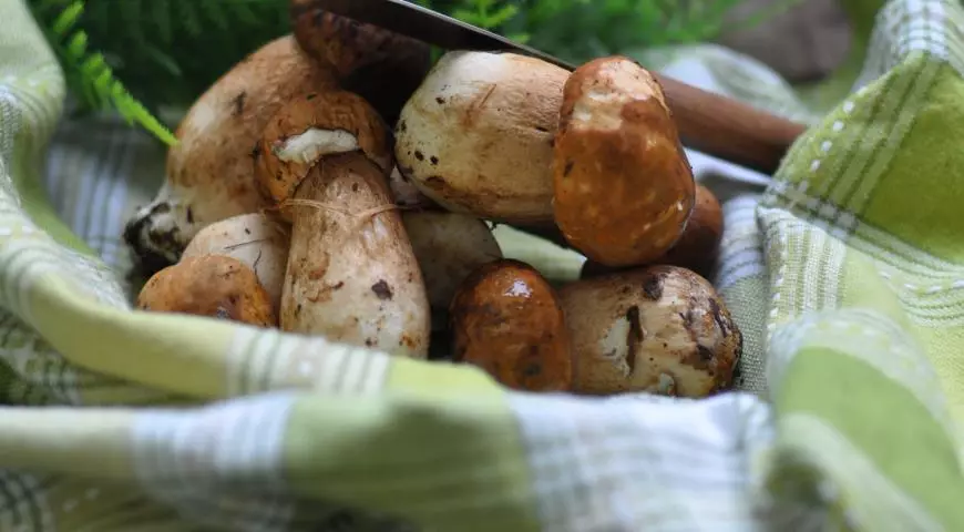 Li-mushroom tsa li-sopho bakeng sa sopho, khaola ka lipolate tse nyane