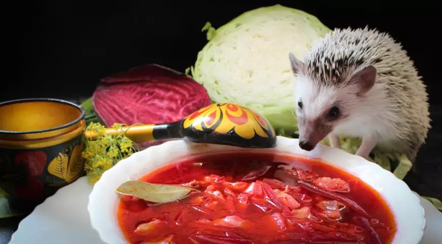 Fresh cabbage borsch and beet