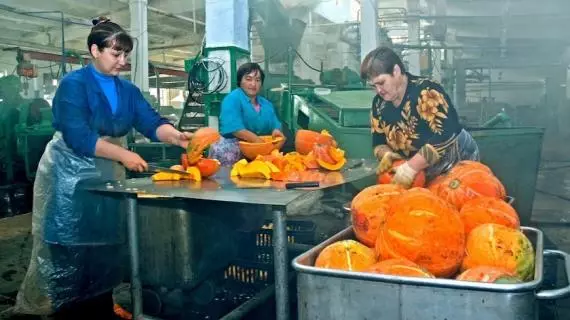 Асқабақ СаракТаш ауылынан секірді - В дәрумені бар тәттілік