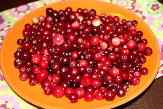 Cupcake with lingonberry