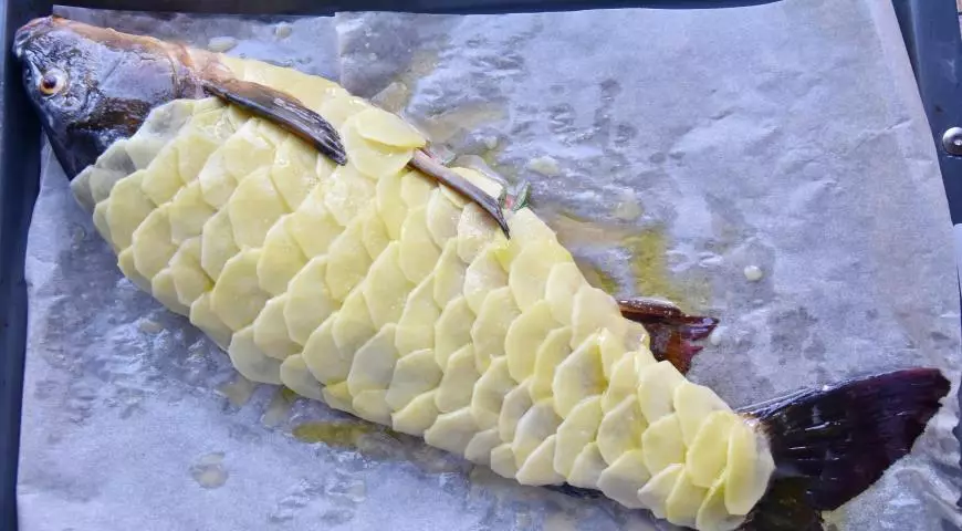 Resipi Memasak Foto: Ikan dibakar dengan kentang, Langkah No. 4
