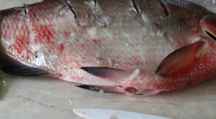 Ing mburi bream pipis kita nggawe sawetara potongan