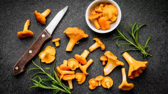 Hogyan kell főzni a leginkább finom chanterelles-t. 7 recept és több trükkök