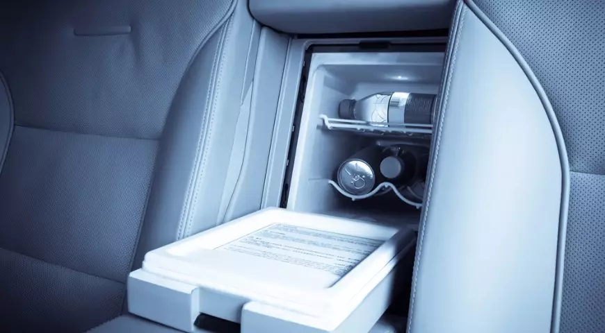 Picknic Idea: Bag kjøleskap eller kjøleskap i Auto 20189_4