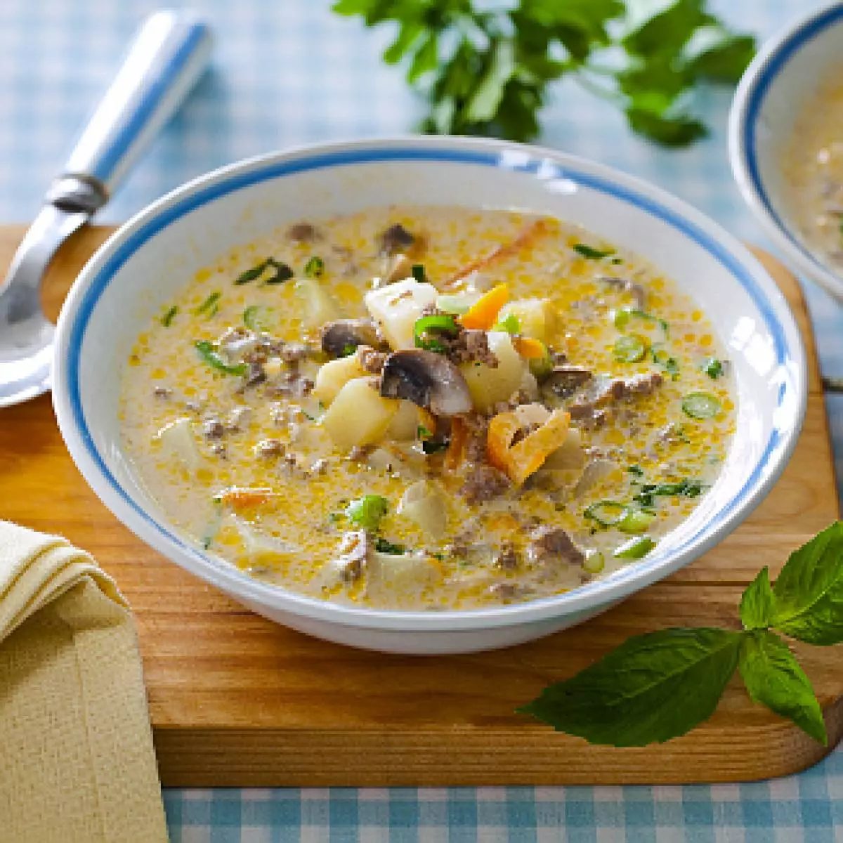 Zuppa sfusa con champignon in un fornello lento