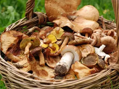 Recipes ine mushrooms - yakakangwa howa, yakazaruka, rishantto newaya, tagliathellu ine howa