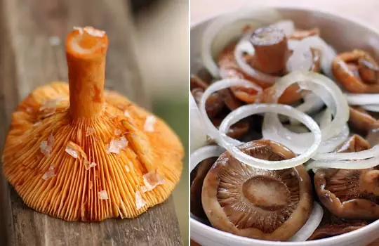 Recipes ine mushrooms - yakakangwa howa, yakazaruka, rishantto newaya, tagliathellu ine howa 22265_3