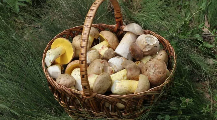 Champignons