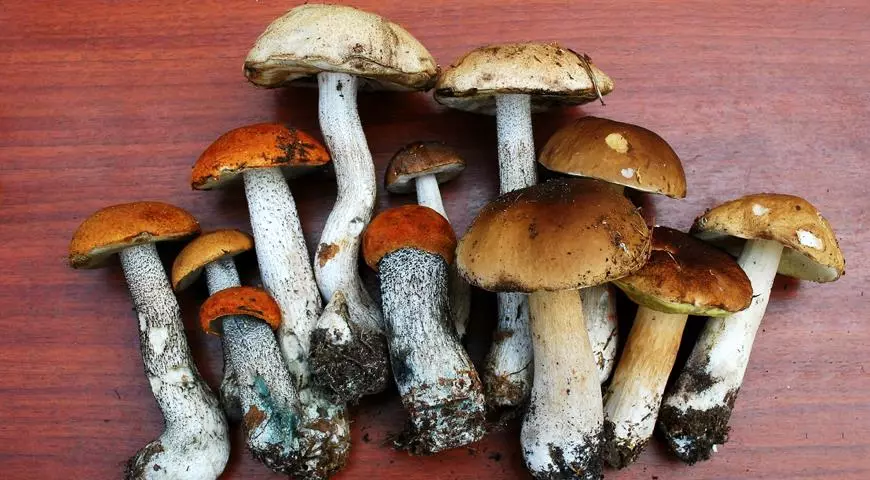 Preparazione dei funghi. Asciutto o congelare su gastronom.ru 22648_3