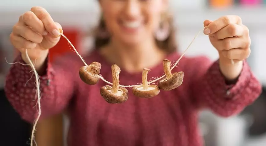 Preparazione dei funghi. Asciutto o congelare su gastronom.ru 22648_5