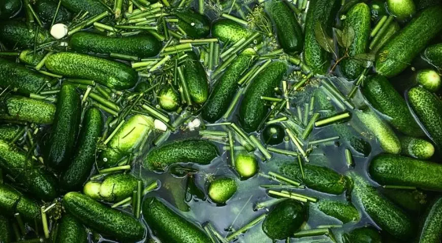 Družinsko podjetje: East Obinsky Salt Cucumbers