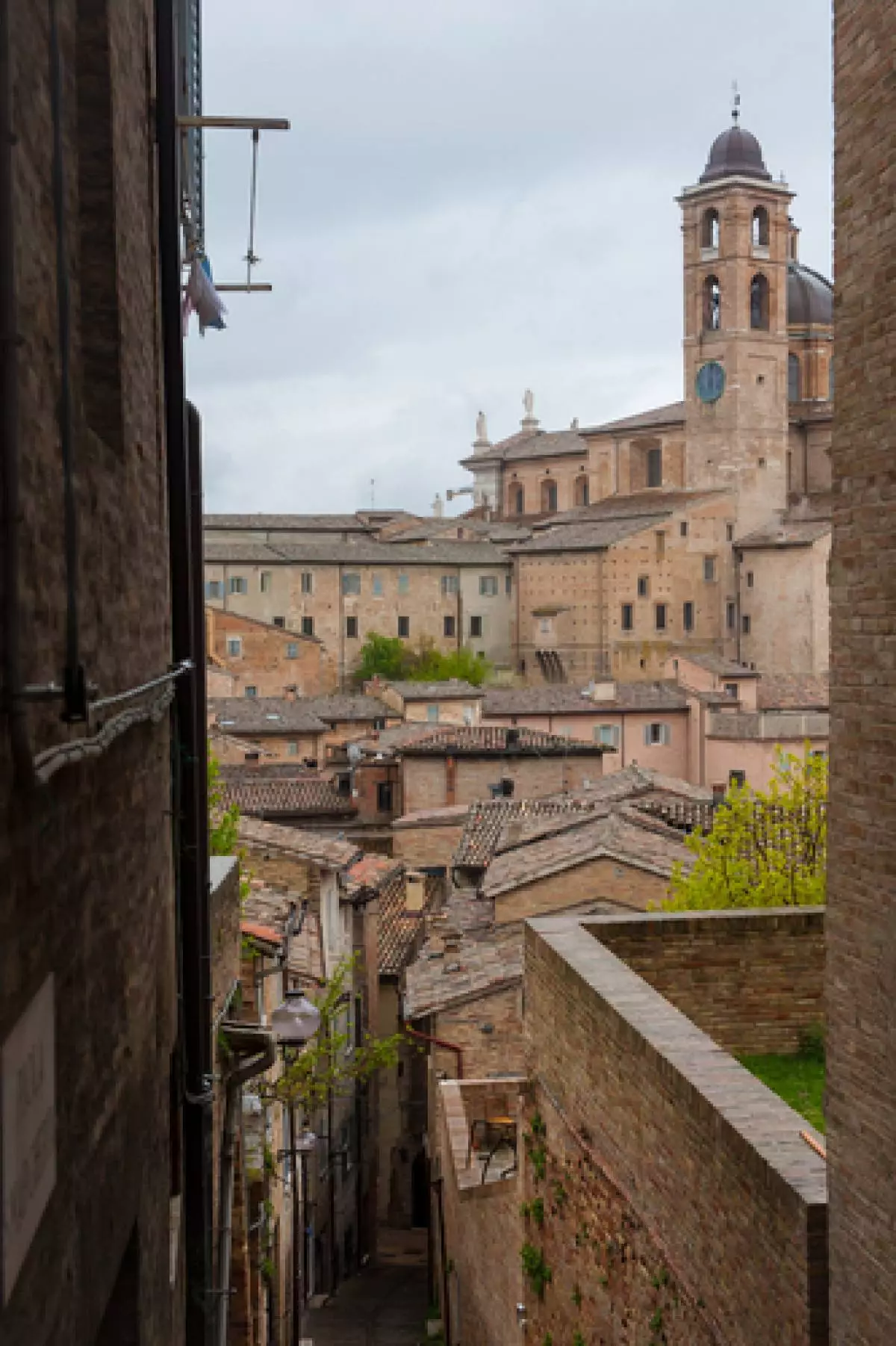 Avui en dia, el conjunt d'ingredients està canviant no només de la ciutat a la ciutat, sinó també des de casa fins a casa. El seu Brodetto es troba a Fano i Sant Benedetto del Tronto, a Porto Recanato i Vasto - totes aquestes receptes estan consagrades per molts anys de tradició. Els turistes que vénen a Ancona, la capital de la regió, o, per exemple, a la propera estació de Portonovo, se serveix Budddetto Al-Ankontan, que es cuina amb tomàquets o pasta de tomàquet - com Buisabes. Aquesta és l'última comparació, però, val la pena sortir amb vosaltres, per no ofendre els locals hospitalaris: adoren el brudetto tant que ho posen per sobre de qualsevol altra sopa.