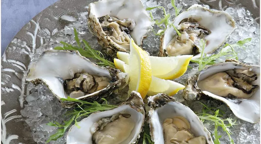 Oysters.