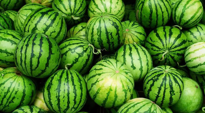 vodný melón