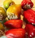 ເລີ່ມຕົ້ນ peppers ກັບ stuffing