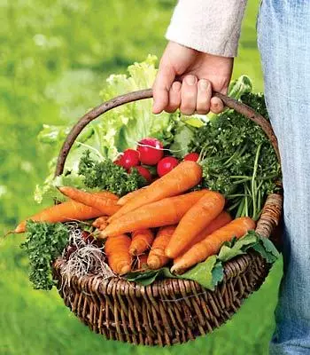 Зеленчук и овошје со баба легла без алергени
