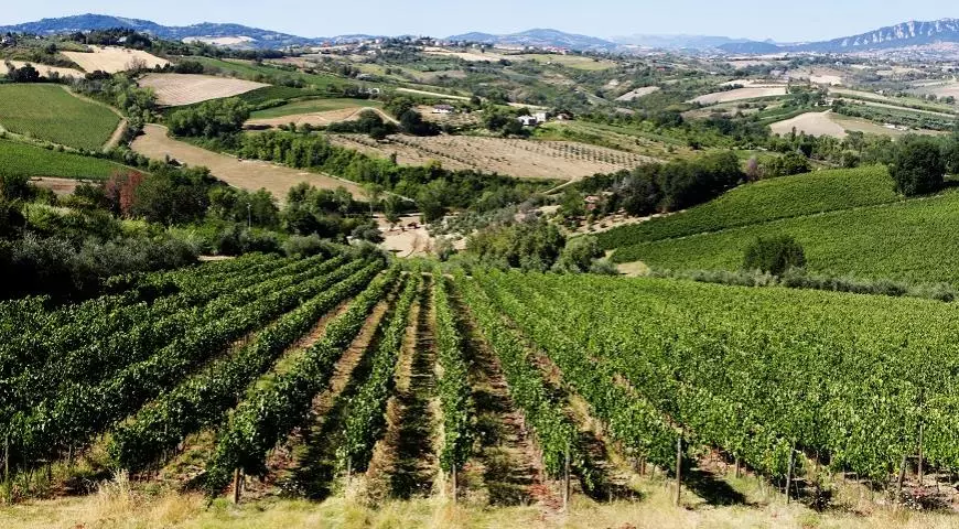 Commune San Patriotano sa Northern Italy.