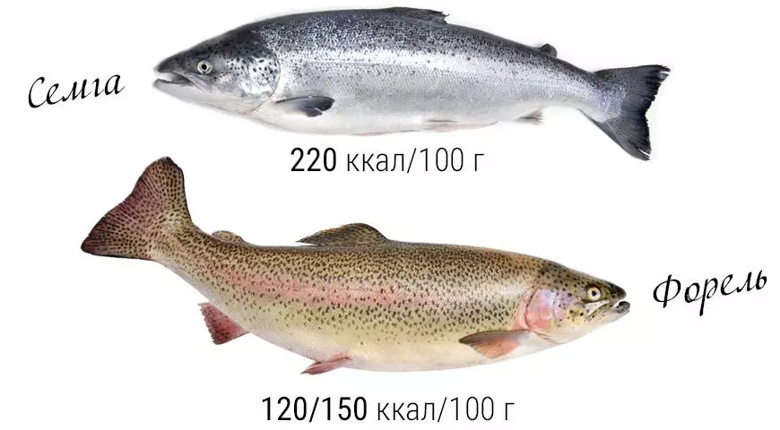 Ikhalori Salmon ne-Trout