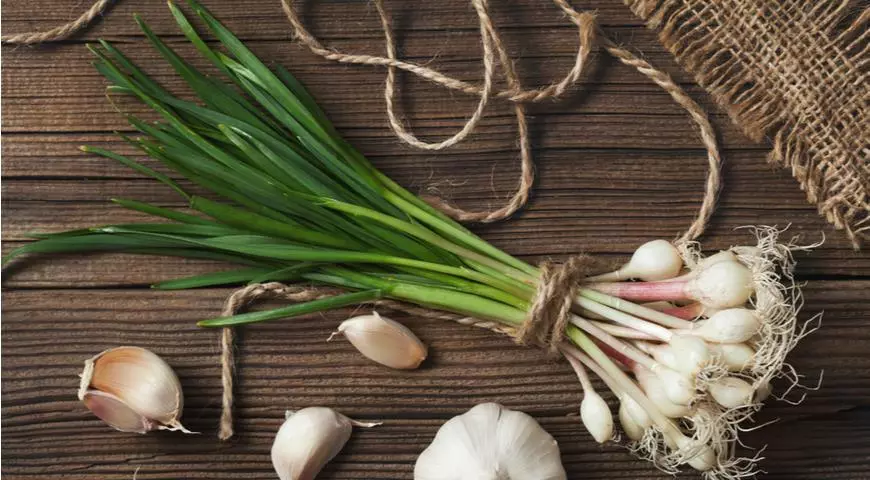 Spring (green) garlic