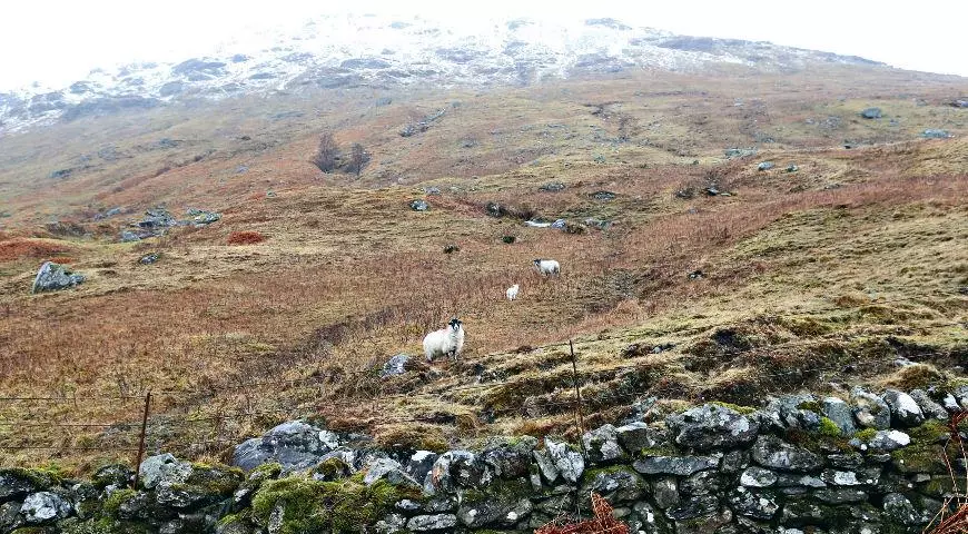 Scotland: Aho kujya icyo kugerageza 45213_6