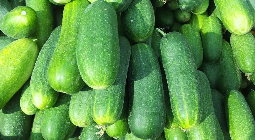 Alabapade Cucumbers