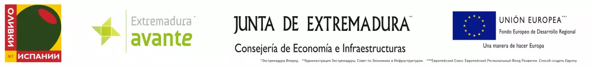 7 разлога да се у вашој свакодневној исхрани укључи маслине из Шпаније 50860_4