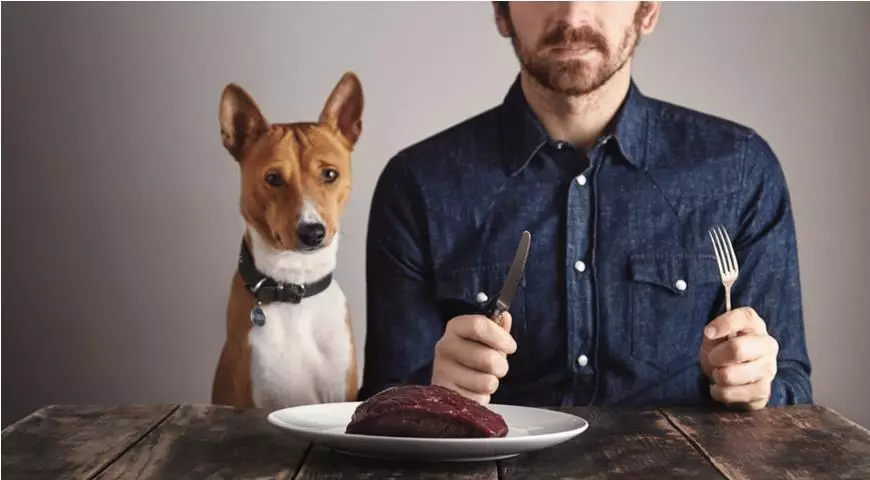 O home e o can esperan a comida