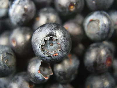 Blueberries inomira kuchembera