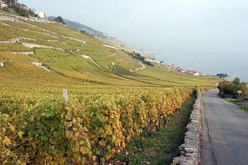 Sveitsin keittiö: Roschti, Gzottis ja viinikeitto