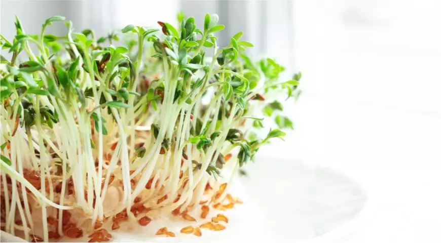 Hvor spiselige greens kan dyrkes på vindueskarmen