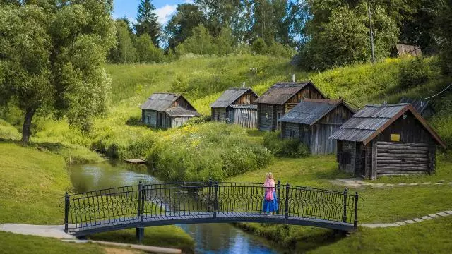 ロシアの胃治茎：ヤロスラブリ地域のネクラソフスキー地区 62347_2