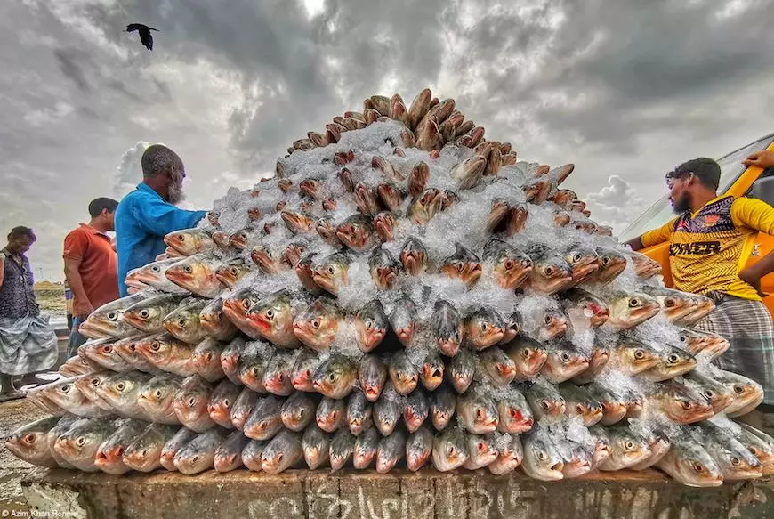 20 foto makanan terbaik 2020 63988_7