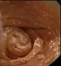 Cozinhar Mousse de Caramelo.