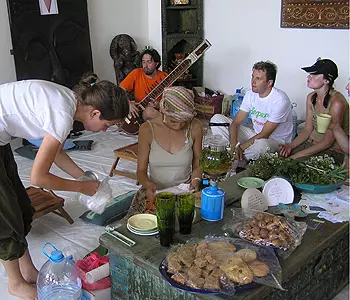 Gastroplek y gira en el borde de los vegetarianos.