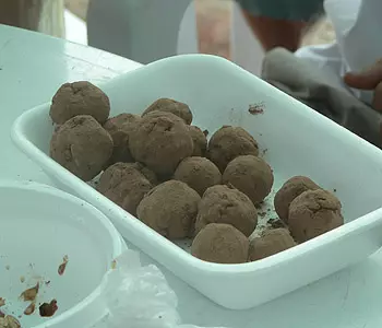 Gastroplek وجولة في حافة النباتيين 66489_6