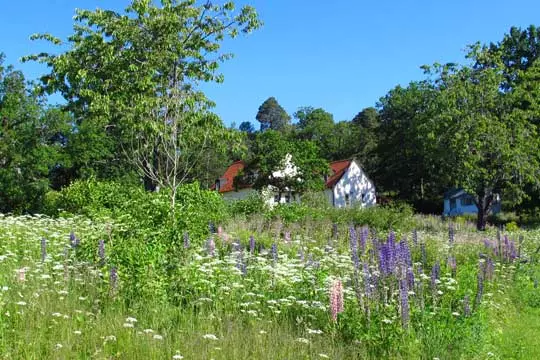 Cesta ve Švédsku: Villa Friedham 69649_13