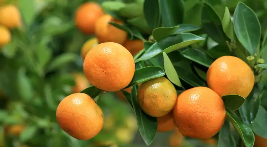 I-Mandarin