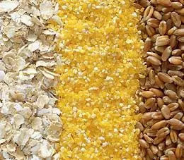 Cereali nelle cucine nazionali. Fico. Grano saraceno, miglio, Bulgur, Amaranto, Quinoa 2