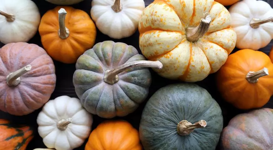 Zucca: cosa è meglio e come scegliere? Su gastronom.ru. 96385_2