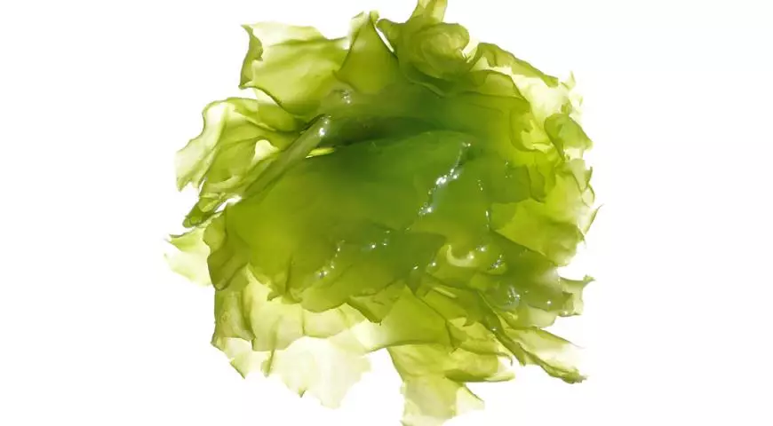 Zelena alga