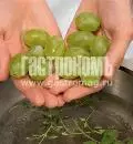 Foto de receita de cozimento: codorna com uvas e ovos de codorna, passo número 1